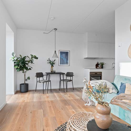 Housing for the student, the single or the youn... - 42 m² - kr7,495